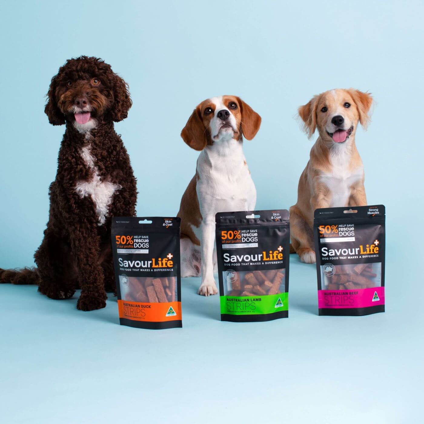 Adopt-a-Dog with Savour Life – Goods 4 Good